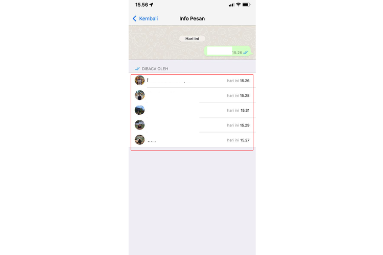 Cara Mengetahui Chat WhatsApp Sudah Dibaca tapi Tidak Centang Biru ...