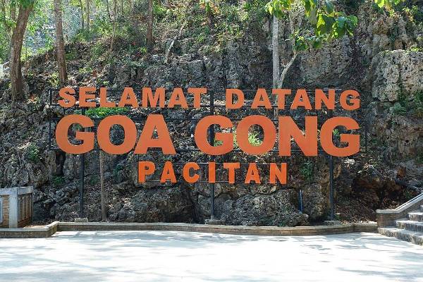Objek Wisata Alam Goa Gong Pacitan: Tiket, Daya Tarik, Aktivitas Seru ...