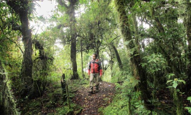Top 10+ Rekomendasi Gunung Berapi di Daerah Bali Yang Masih Aktif ...