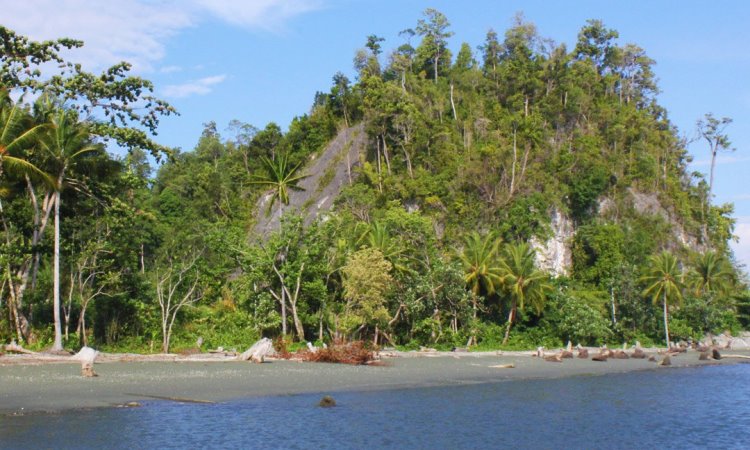 Top 10+ Tempat Wisata di Kepulauan Yapen Terbaru & Paling Hits ...