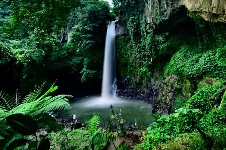 Coban Jahe Jabung Malang: Daya Tarik, Harga Tiket, dan Jam Buka ...