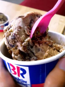 Daftar Menu Baskin Robbins 2024, Banyak Varian Rasanya lho! - AlongWalker