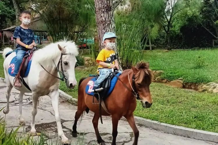 Jendela Alam Bandung 2024: Daya Tarik, Harga Tiket, dan Jam Buka ...