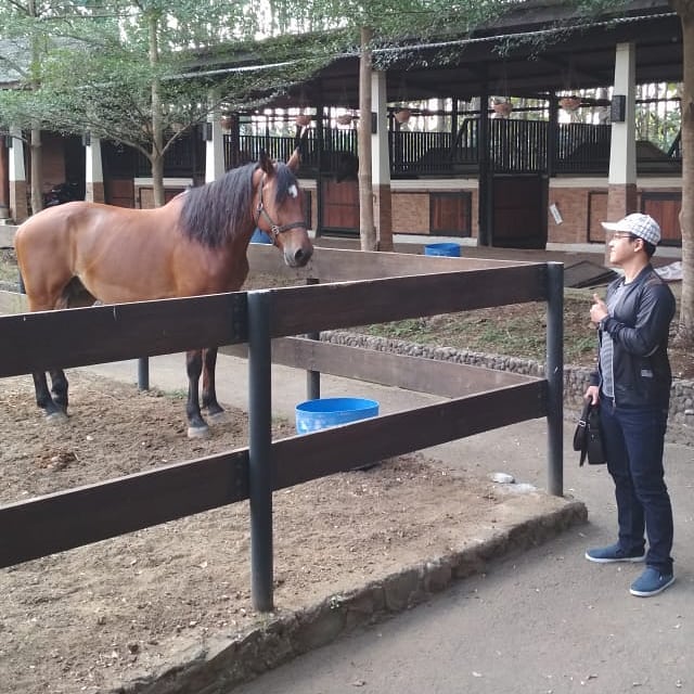 Nirwana Stable, Tempat Wisata Yang Unik Di Semarang - AlongWalker