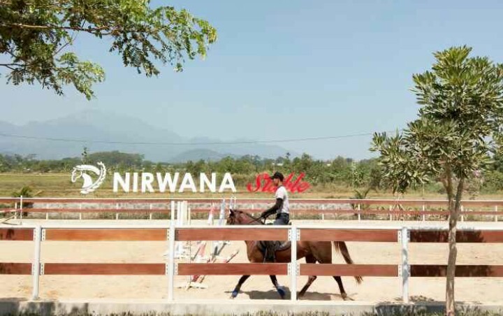 Nirwana Stable, Tempat Wisata Yang Unik Di Semarang - AlongWalker