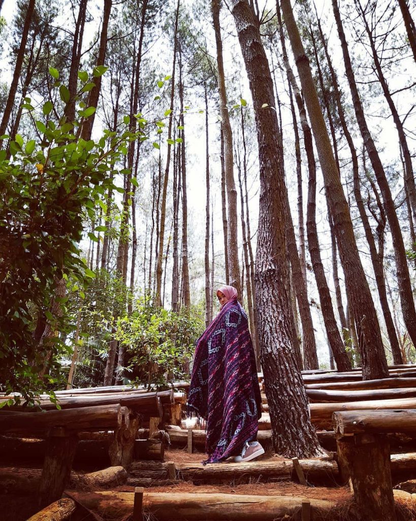 Review, Lokasi, Dan Tiket Masuk Hutan Pinus Mangunan - AlongWalker
