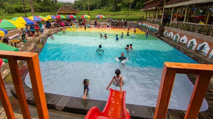 Review, Lokasi, Dan Tiket Masuk Taman Botani Sukorambi - AlongWalker