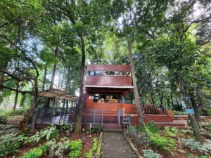 Top 6+ Cafe di GBK yang Cozy untuk Nongkrong Habis Olahraga - AlongWalker