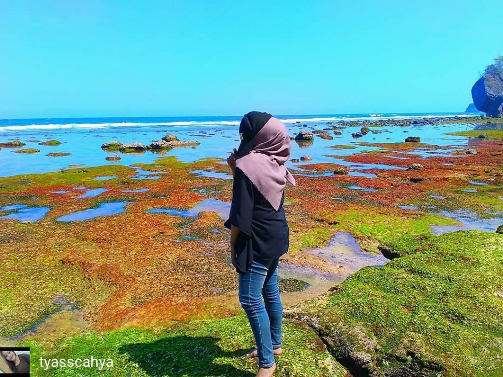Top 6+ Wisata Pantai Yang Indah Dan Menarik di Pacitan - AlongWalker