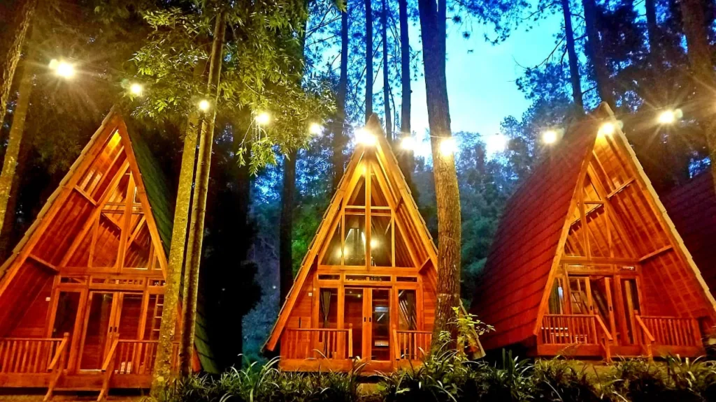 Top 7+ Rekomendasi Tempat Glamping Hutan Pinus Tercantik - AlongWalker