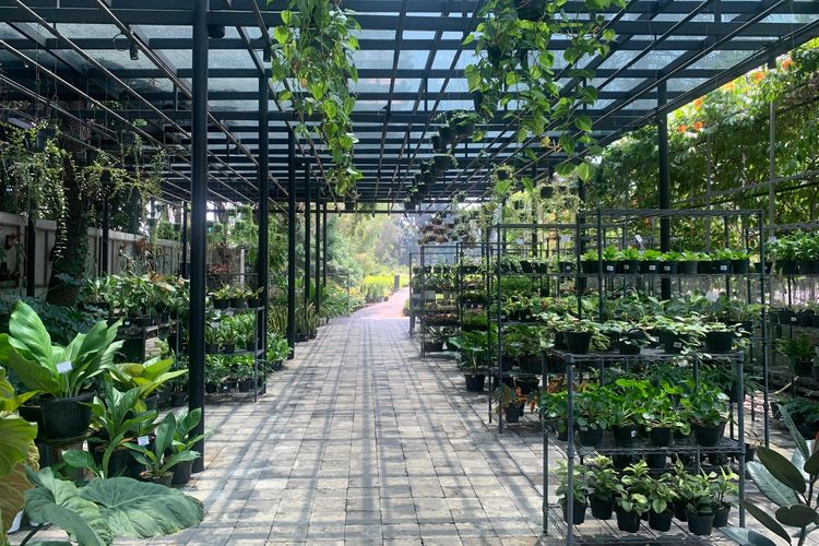 Oleh-oleh Unik Khas Kuntum Farmfield bogor, Ada Sayuran Segar - AlongWalker